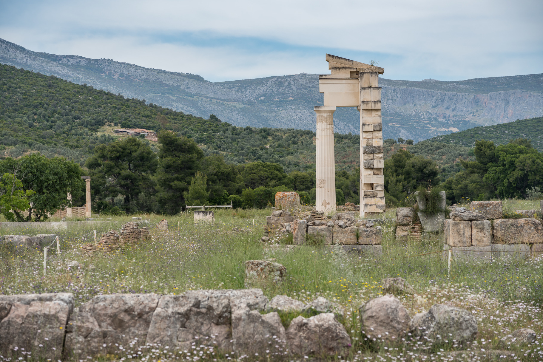Temple ruins at sanctuary of containing amphitheater, epidaurus, and ...