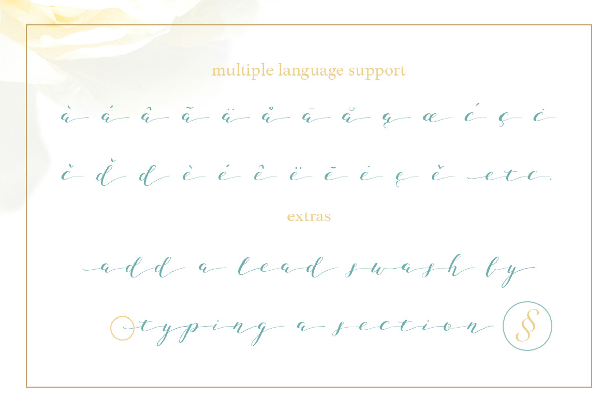 Joleni Modern Calligraphy font, a Script Font by By Lef