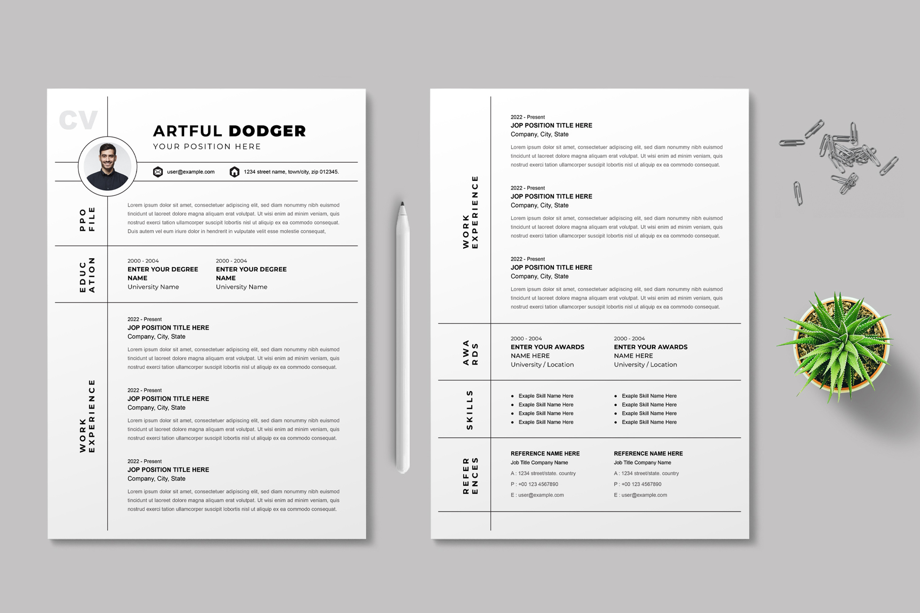 Professional Resume Template Layout