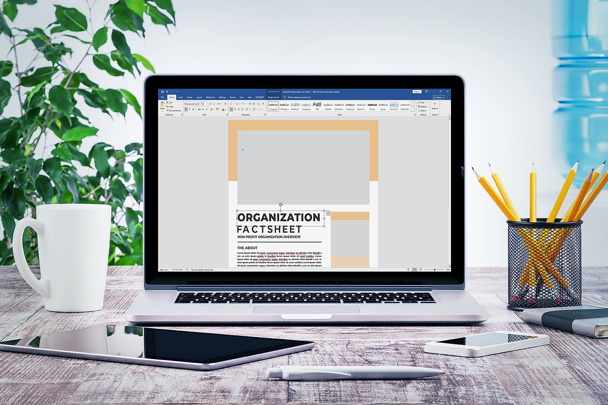 Nonprofit Organization Fact Sheet, a Flyer Template by obayes
