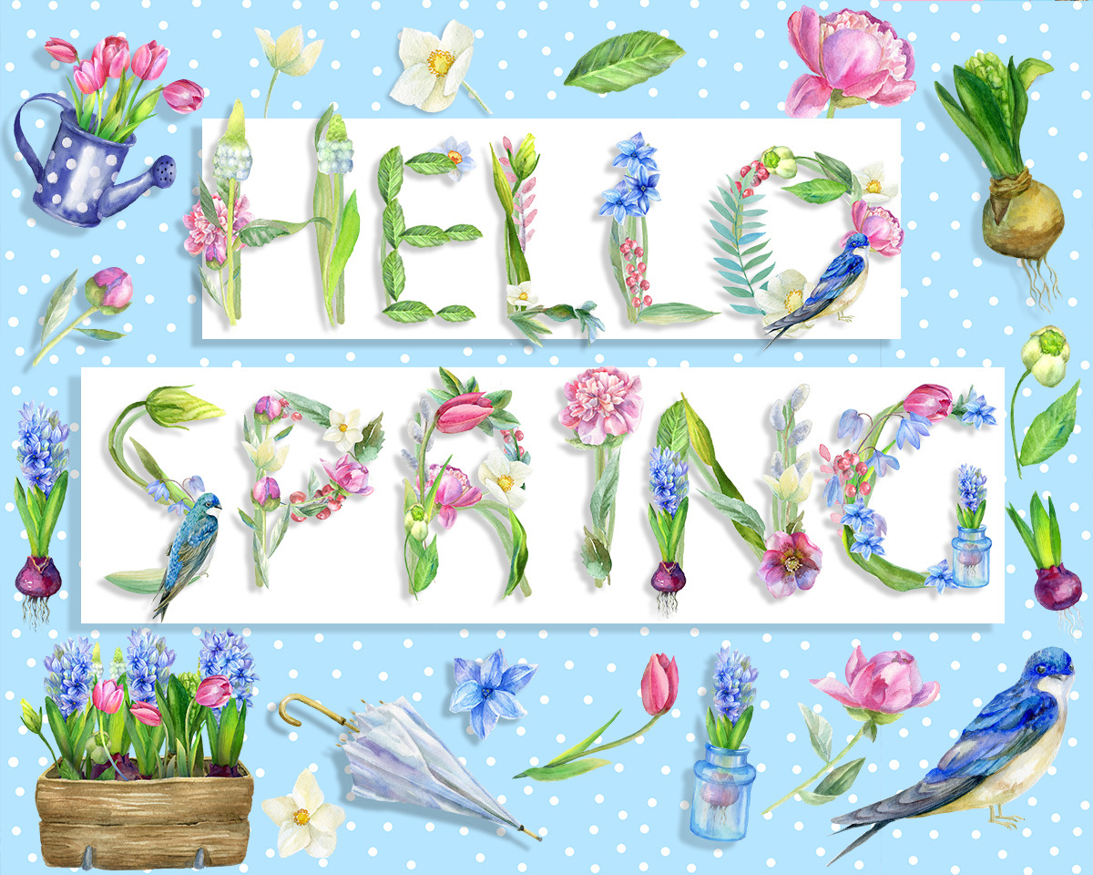 Watercolor spring clipart, an Illustration by WonderWonder