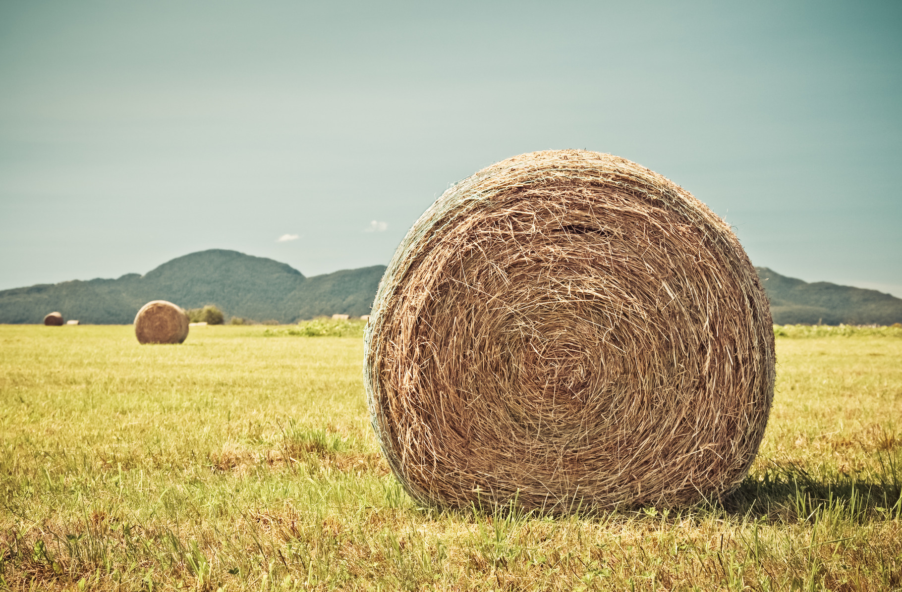 Round bales of hay in the field, a Nature Photo by Studio Light & Shade
