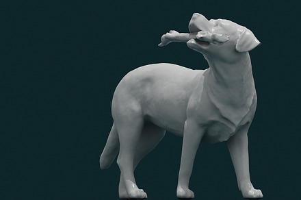 FOX fbx only, an Animal 3D Model by PROTOFACTOR