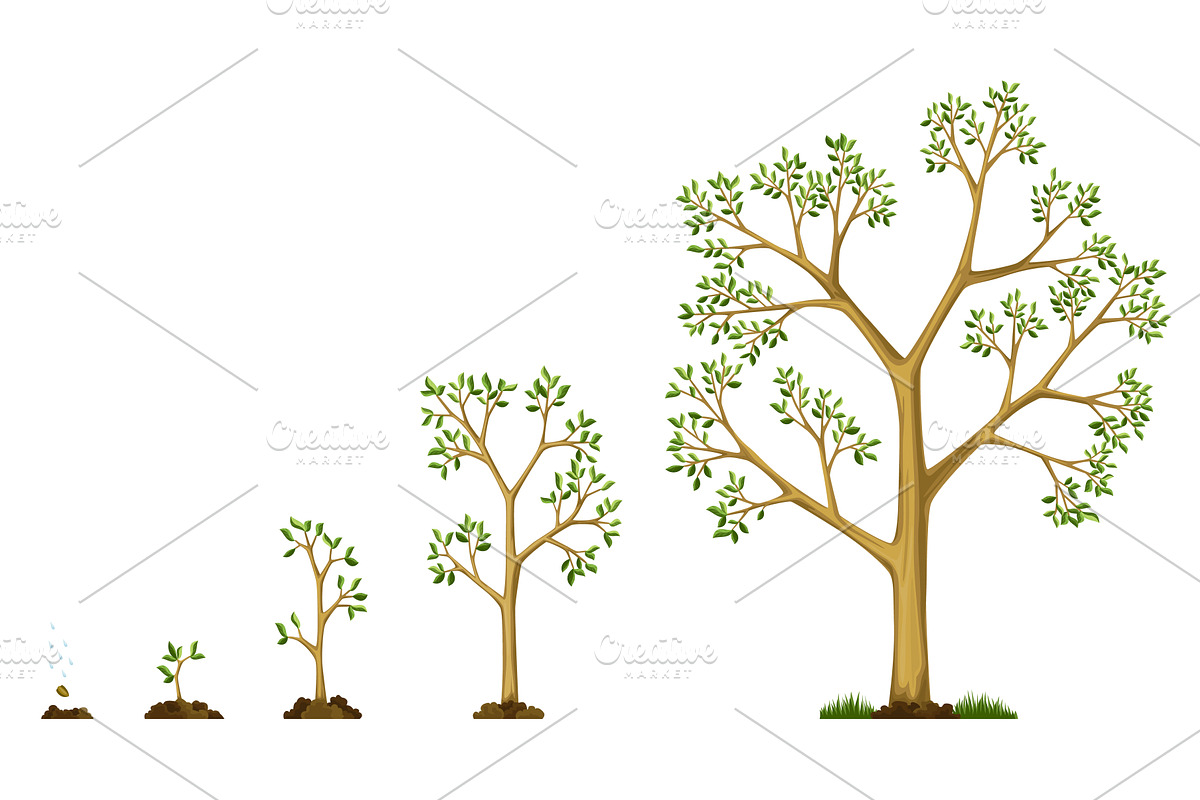 Stages growth of tree from, an Object Illustration by Things for designers