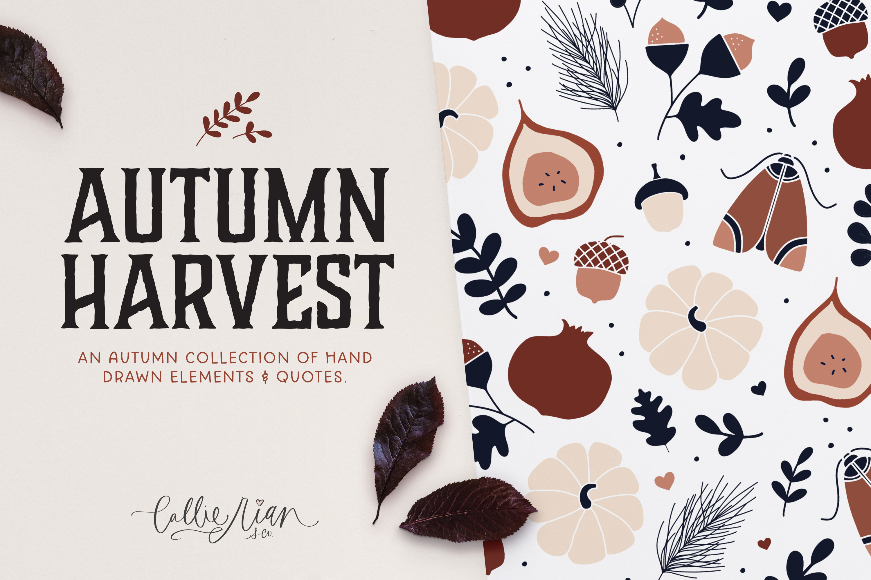 Autumn Harvest Lettering & Elements, a Graphic by Callie Rian & Co.