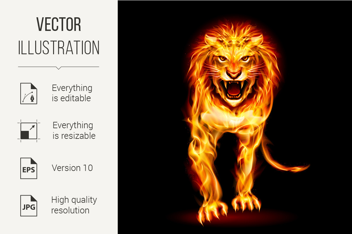 Fire lion, a Background Graphic by DvargShop
