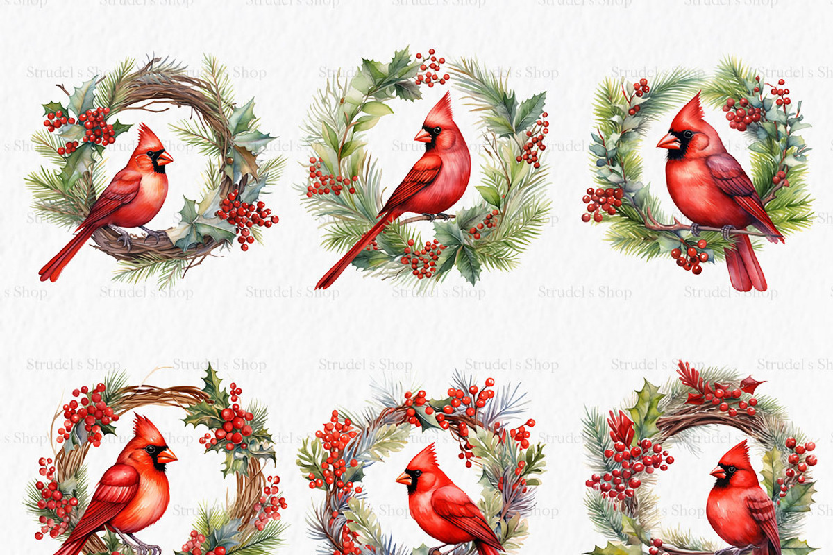 Red cardinal bird clipart PNG, an Object Graphic by MyLittleMeow