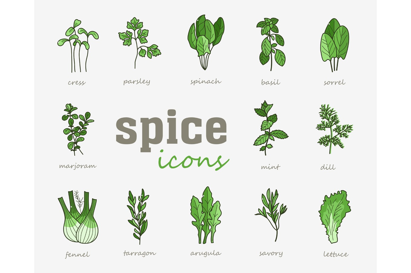Greenery vector icon set. Vegetable green leaves, an Illustration by ...