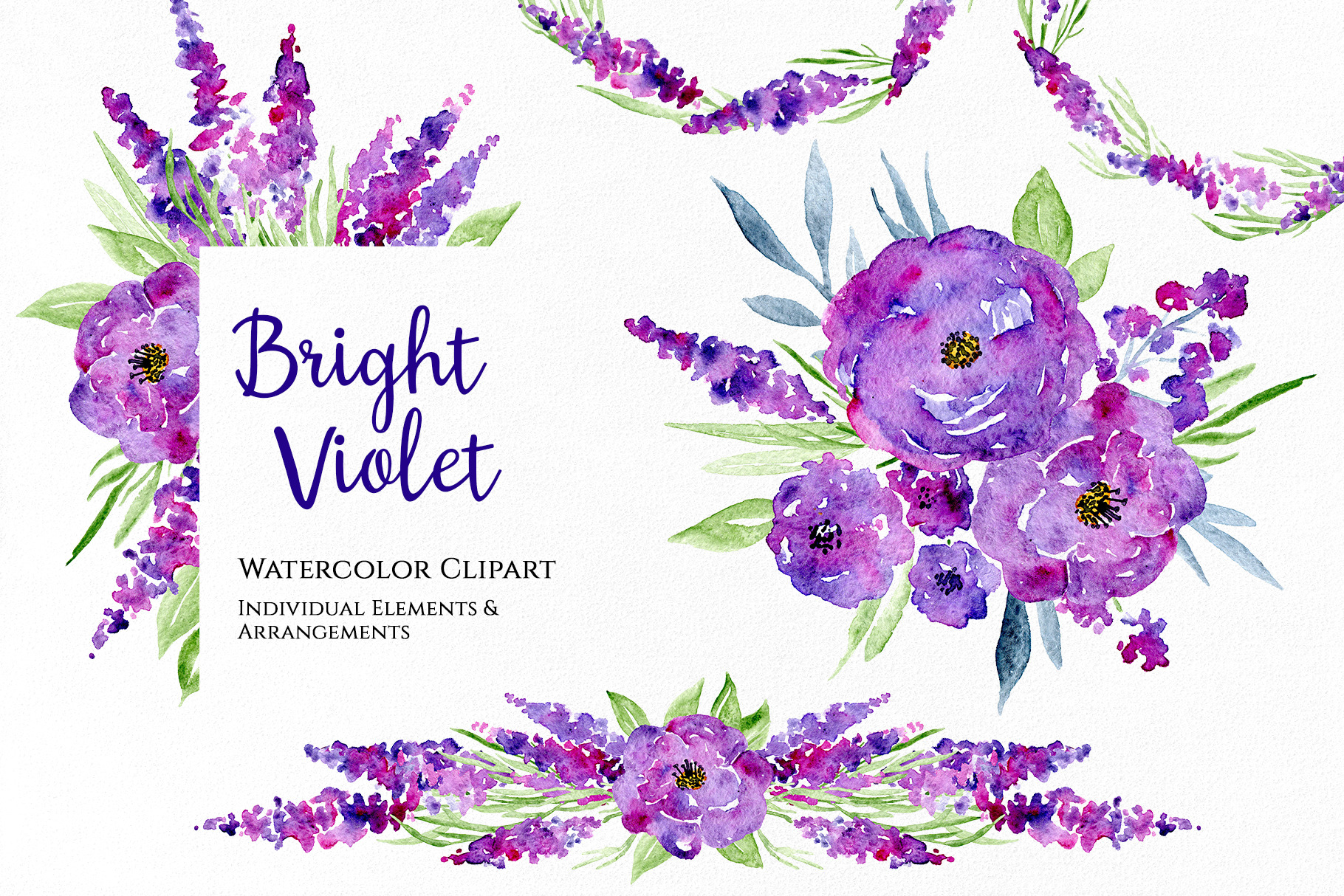 Watercolor Lavender & Roses Flowers, an Illustration by GraphicsDish