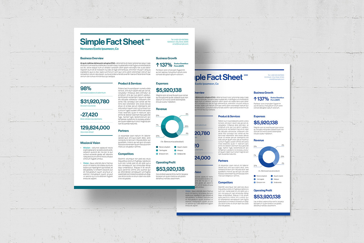 Simple Factsheet Template, a Flyer Template by BrandPacks
