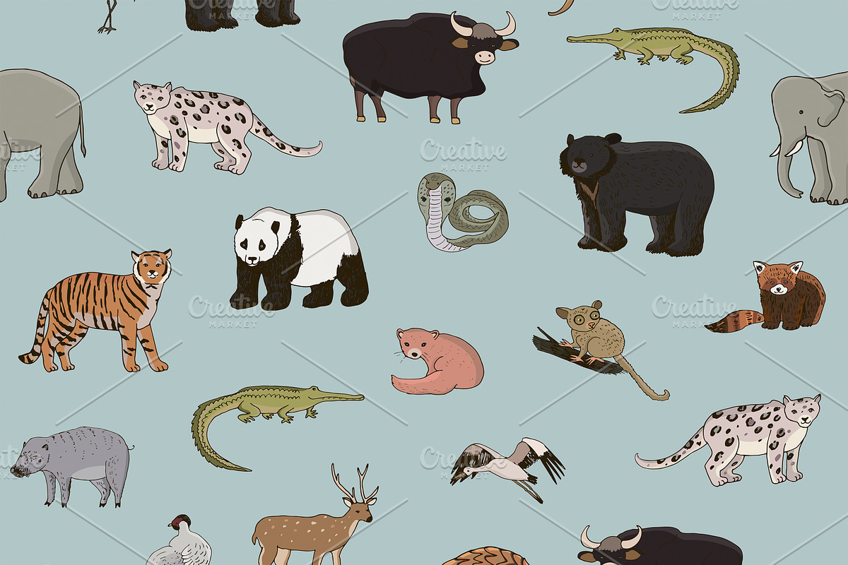 Asian Animals, an Animal Illustration by GooseFrol