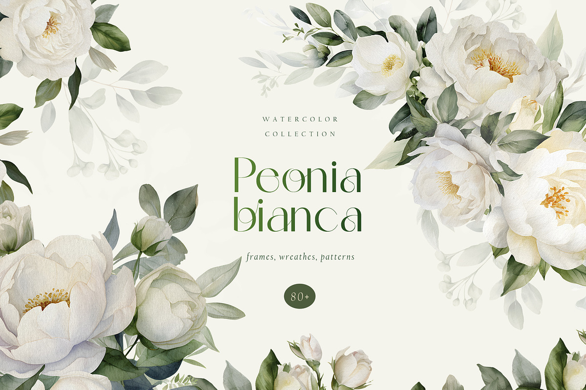 Watercolor wedding white peonies