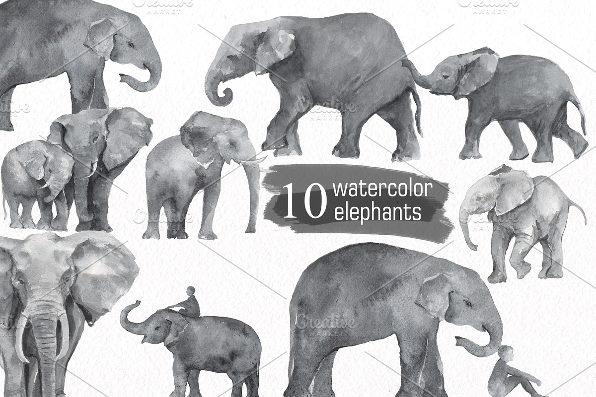 Elephant watercolor clipart, an Animal Illustration by StasyArt