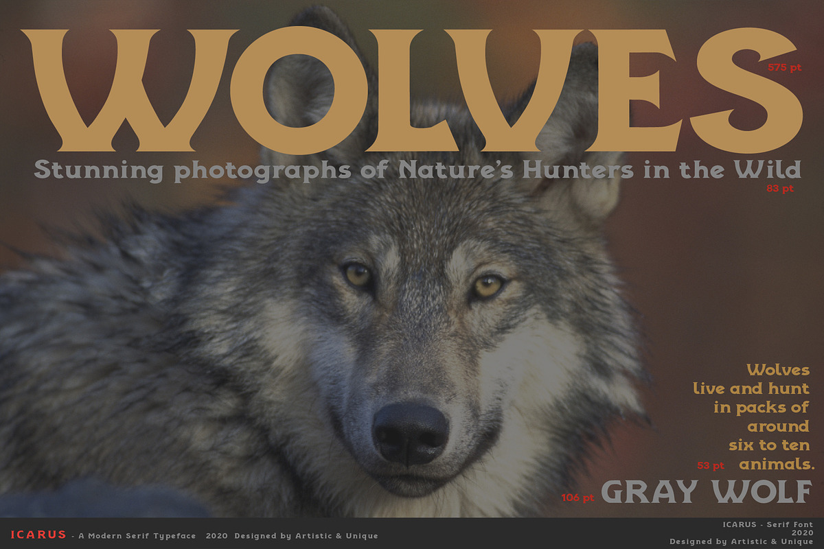 ICARUS - Serif font family, a Serif Font by Artistic & Unique