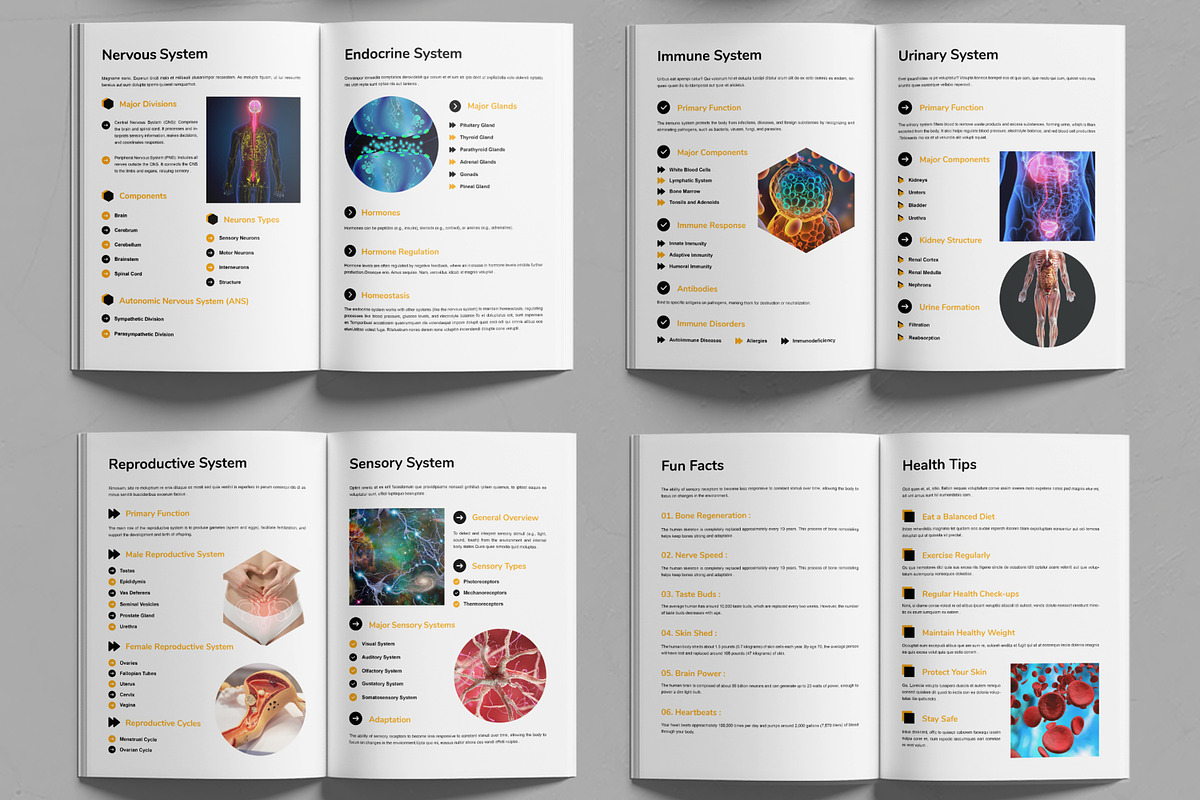 Human Body Brochure Template
