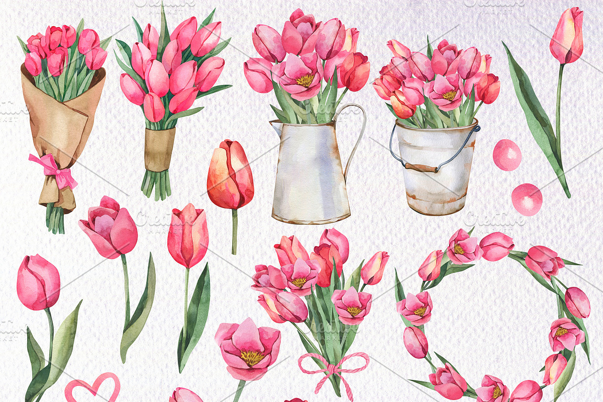 Watercolor Tulip Clipart, Spring