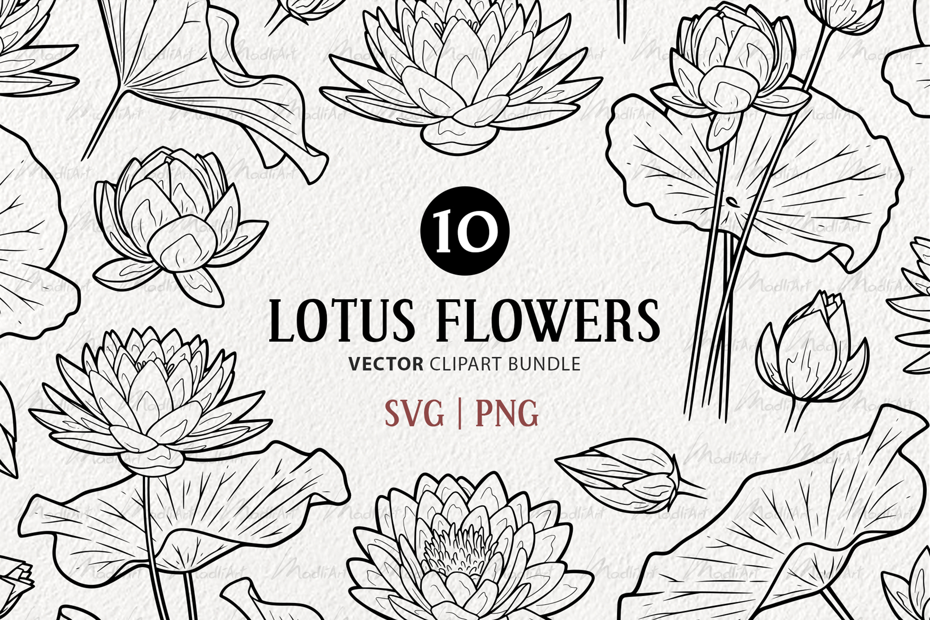 Lotus Flower Vector Line Art Set, a Decorative Illustration by MadliArt ...