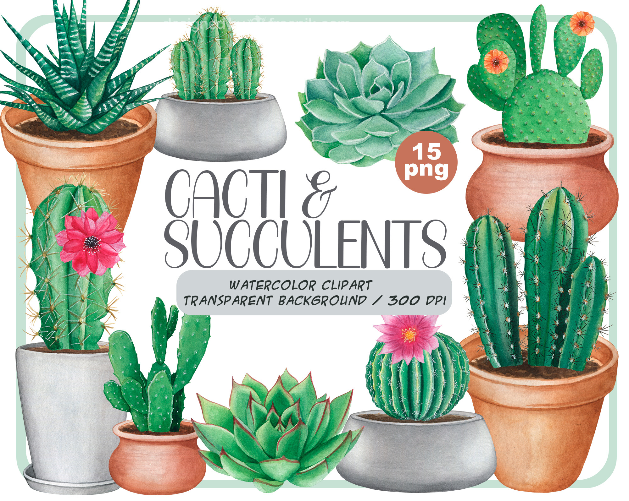 Watercolor cactus clipart set, an Illustration by ArtfulStudio