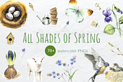 Watercolor Spring Creator, an Animal Illustration by SophieLittleEye