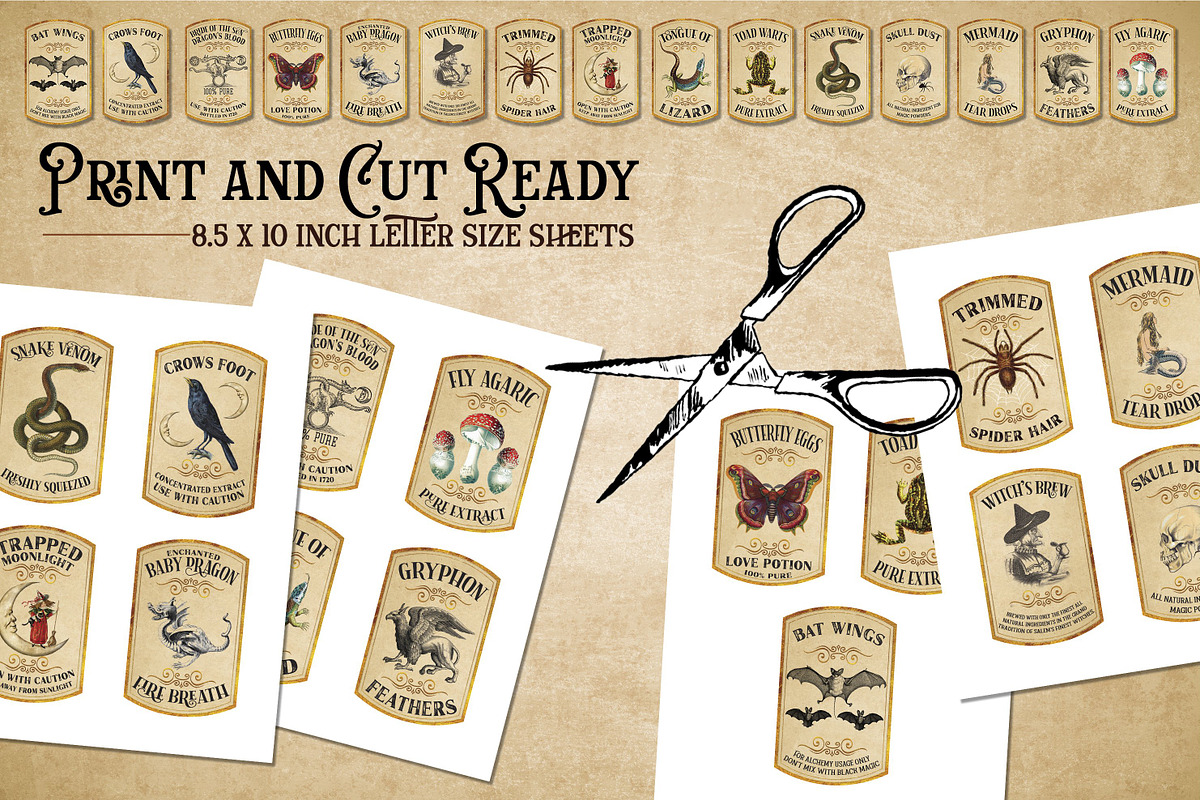 Witch Potion Labels Apothecary, a Seasonal Illustration by RossiGalleria