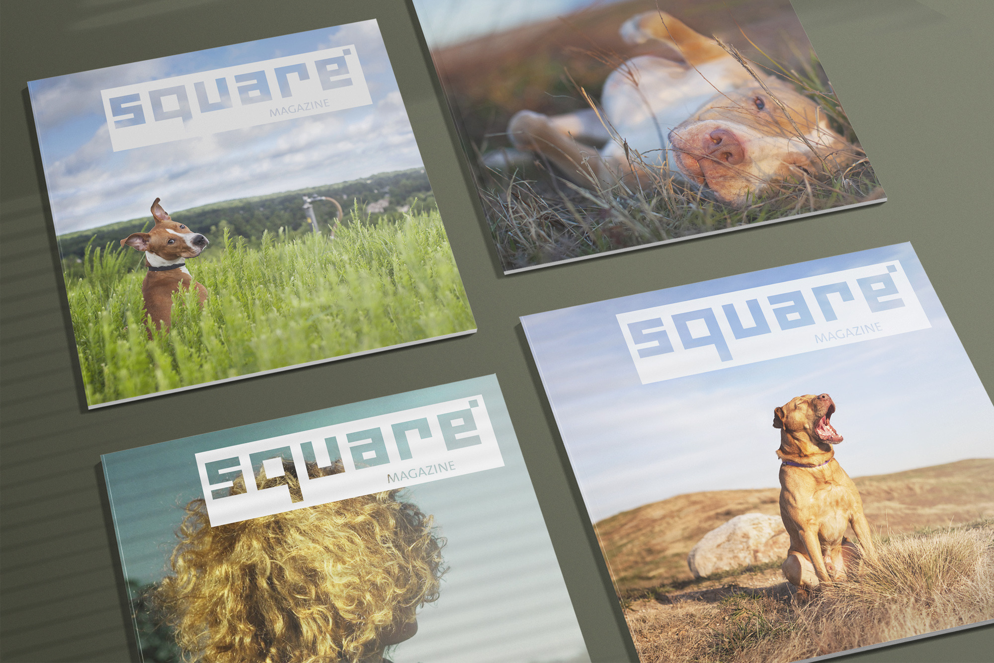 Square Magazine Covers mock-up, a Print Template by ItemBridge