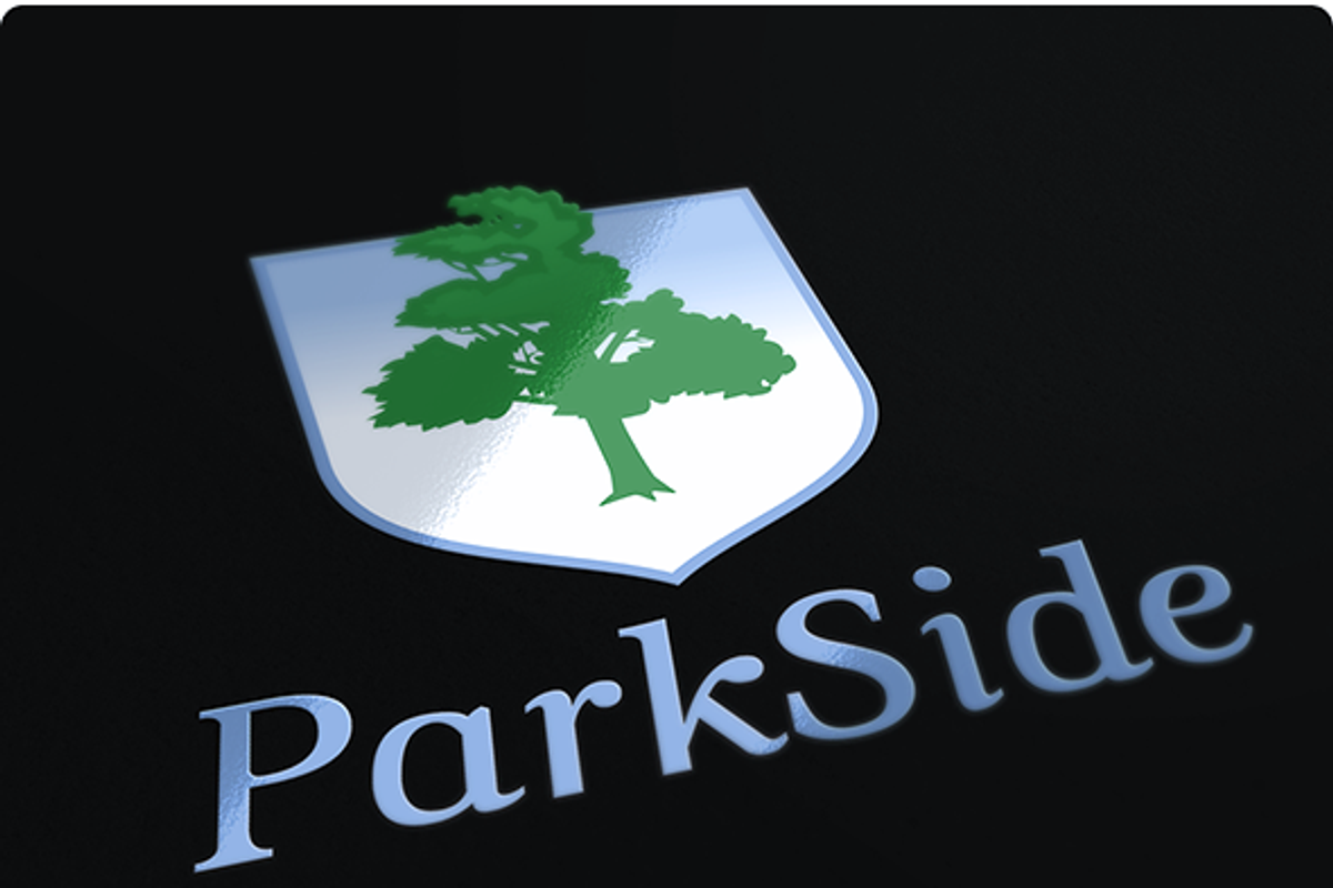 ParkSide Logo Design, a Branding & Logo Template by free2fonts