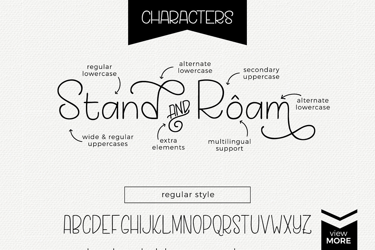 Stand and Roam font duo, a Sans Serif Font by HowJoyful