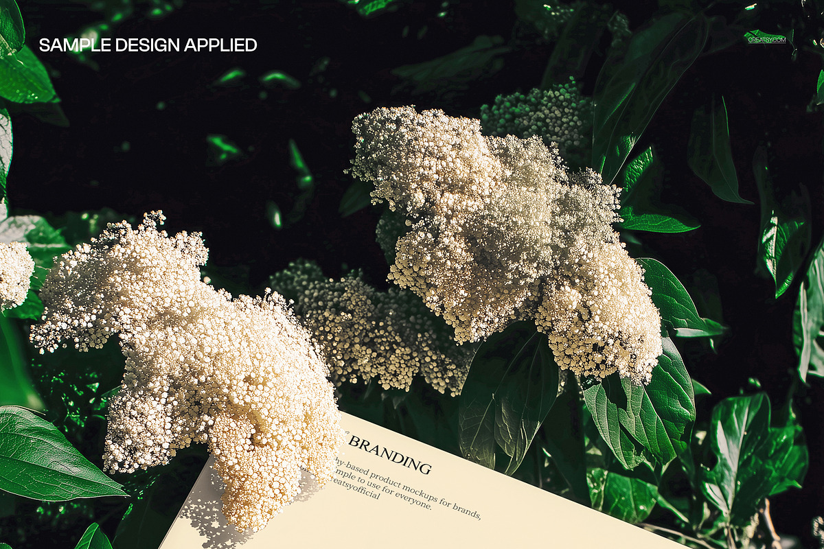 Packaging Box in Elderflower Mockup, a Packaging Mockup by creatsy5