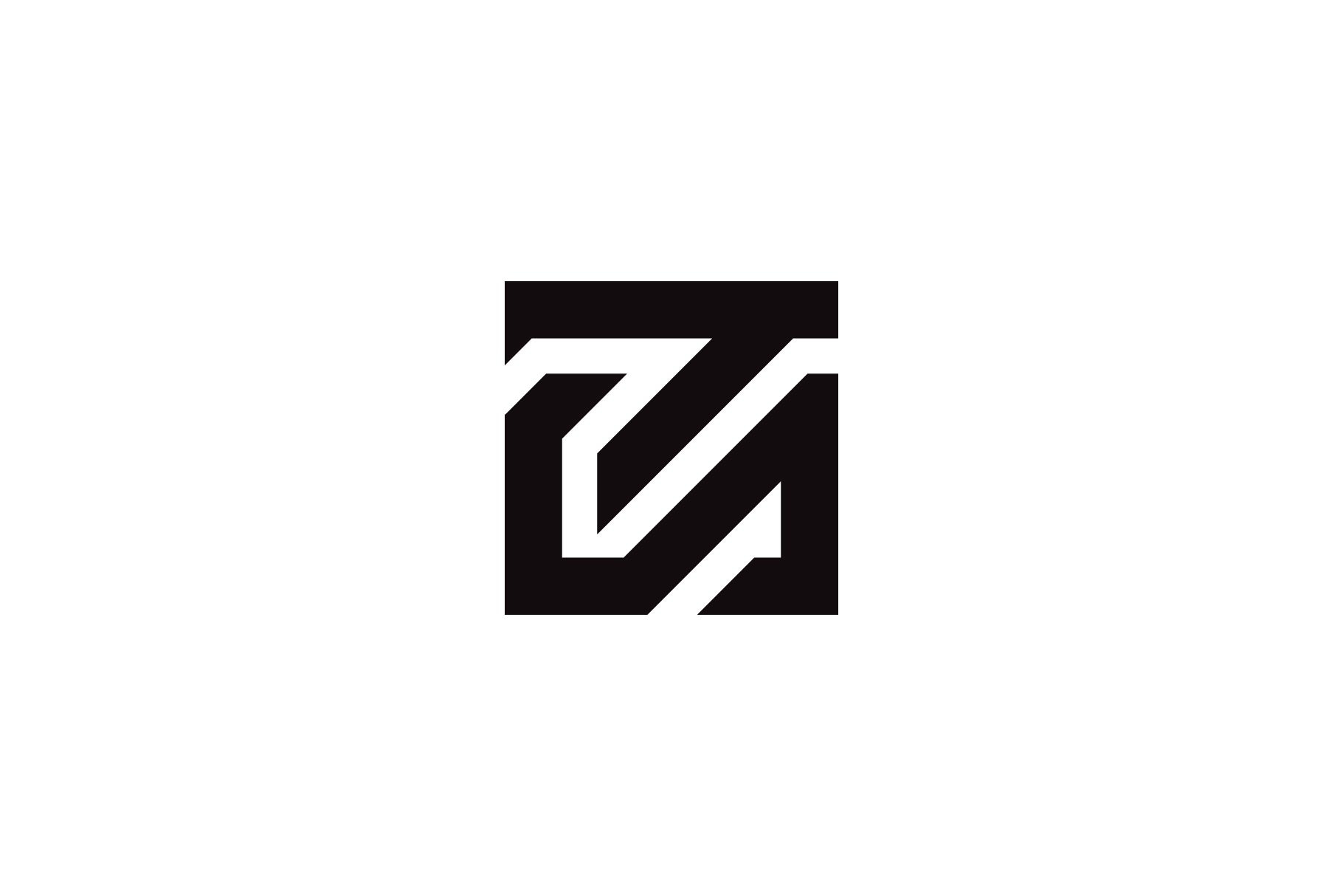 TS or ST Logo Design, a Branding & Logo Template by FransiskaDesign