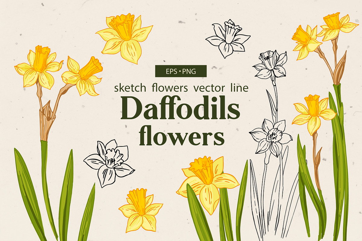 Daffodils. Sketch spring flowers, an Illustration by irina.vaneeva ...