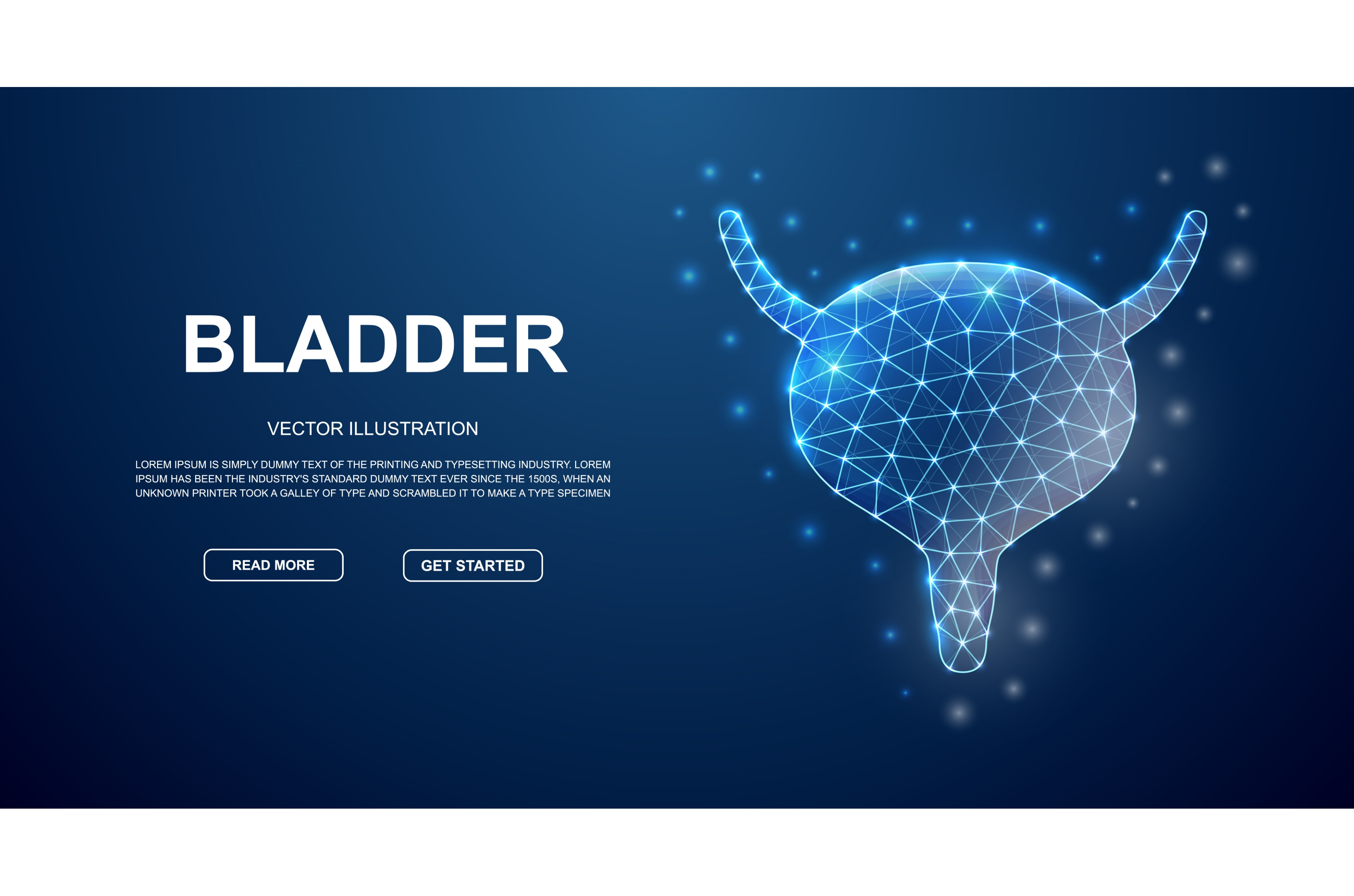 Bladder 3d low poly banners, a Healthcare Illustration by GraphiShop