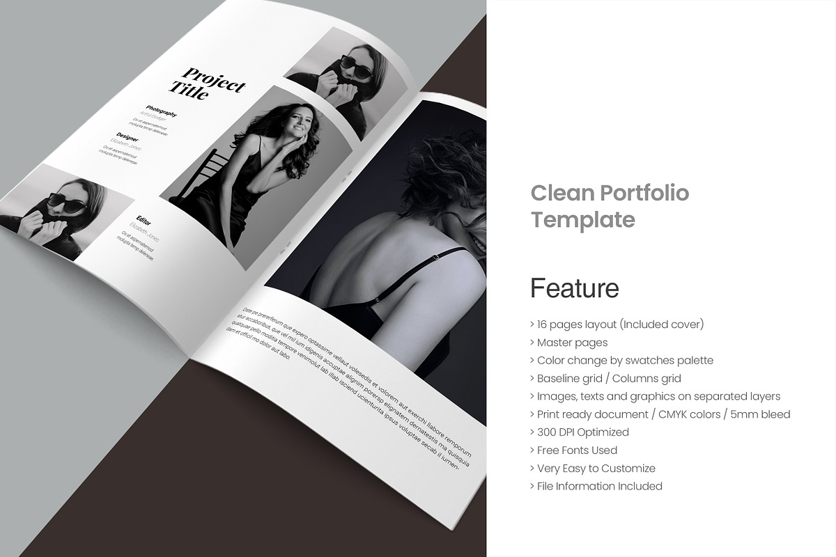 Clean Portfolio Template, a Templates & Theme by evgenystudio