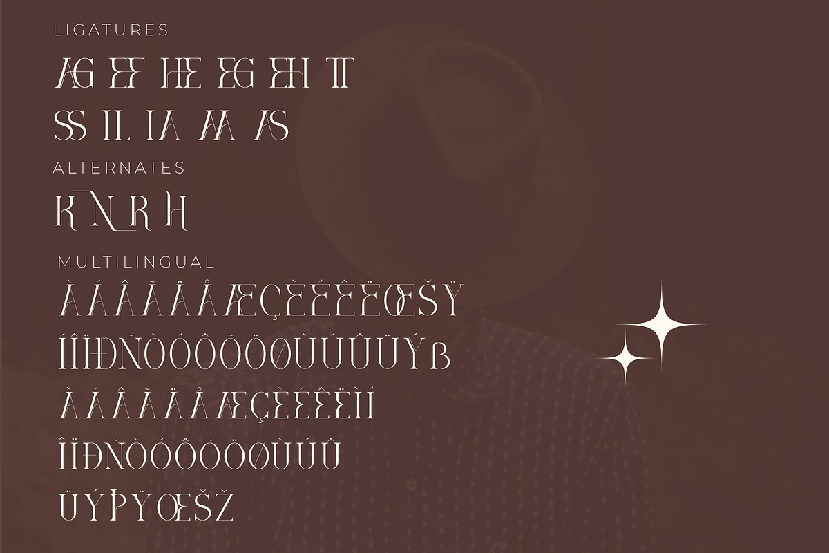 DIEGO Modern Serif Font Display, a Serif Font by Storytype Studio