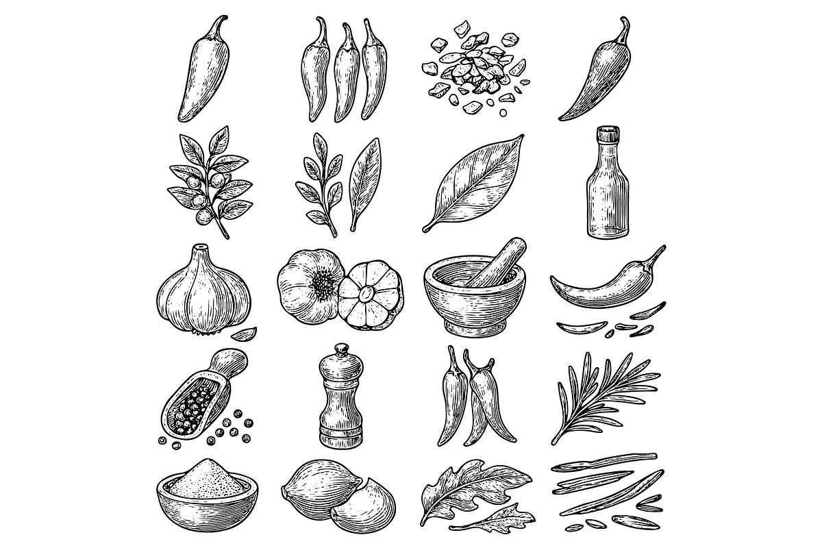 Spices and Herbs Chili Garlic Bay, an Object Graphic by RT Studio