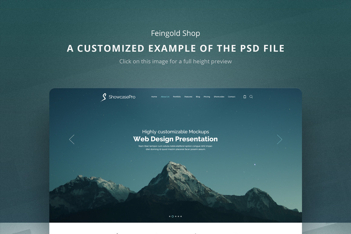 Long Website Mockup for Presentation, a Device Mockup by FEINGOLD