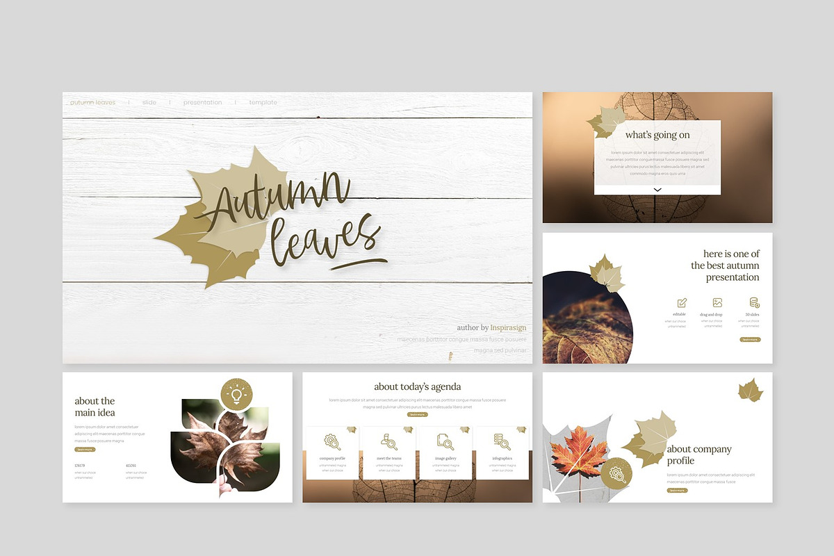 Autumn Leaves - Powerpoint Template, a Presentation Template by inspirasign