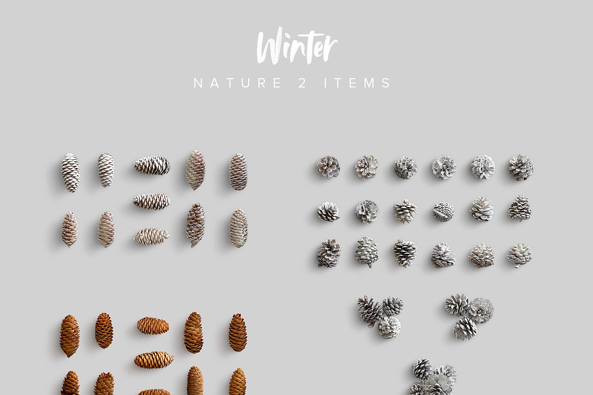 Winter Scene Creator Bundle, a Books & Magazine Mockup by Custom Scene