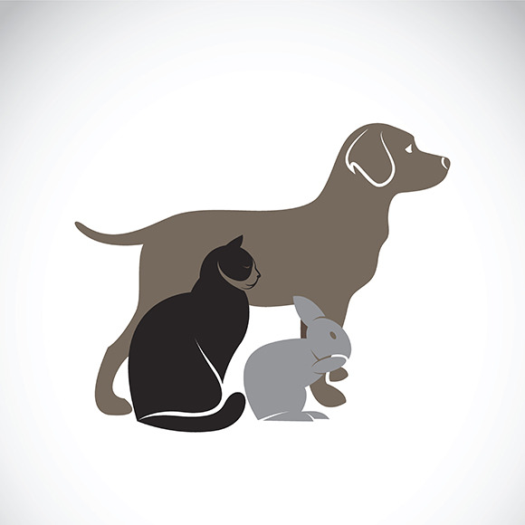 Vector group of pets., an Outline Icon by yod67