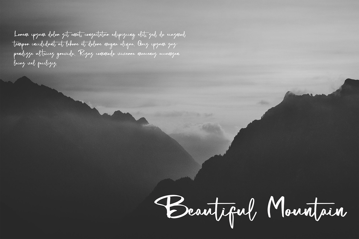 Nellatena Brush Script Font, a Script Font by NTC Graphic | Creative Market