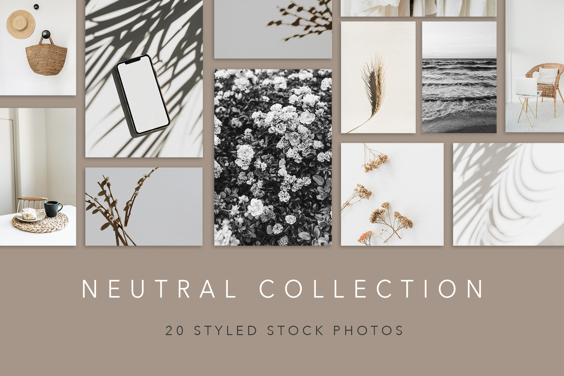 Neutral Collection, a Background Photo by Floral Deco