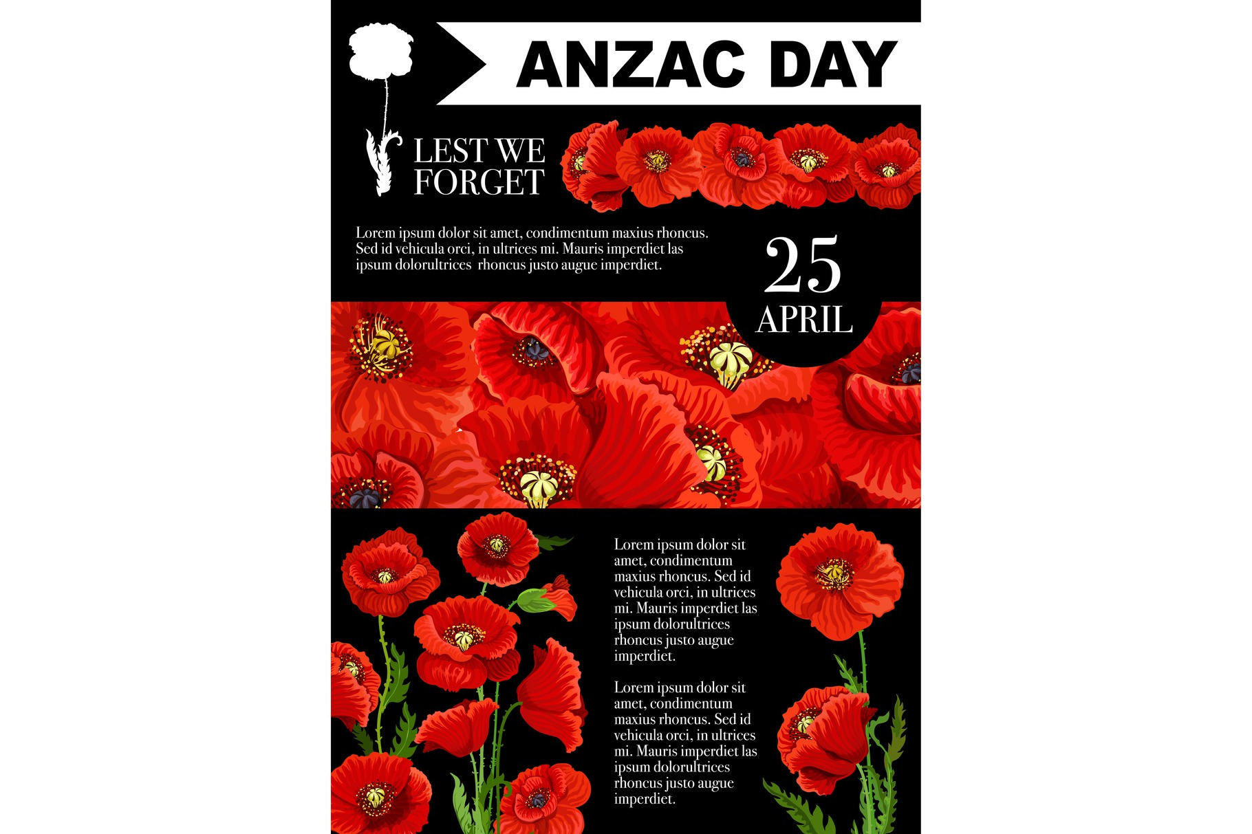 Anzac Day Lest We Forget poppy vector poster | Illustrations ~ Creative ...