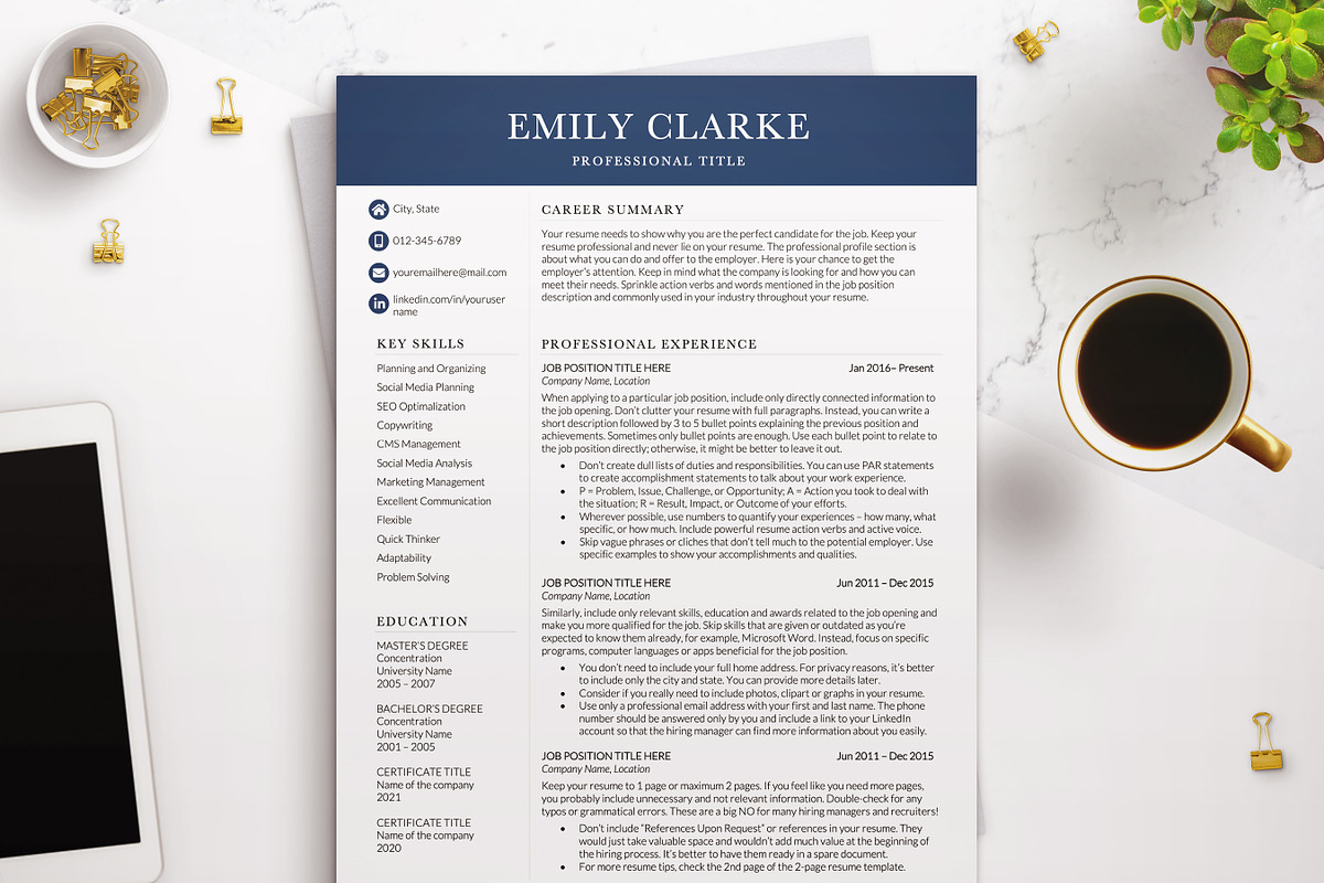 Modern Executive Resume CV Template, a Resume Template by BestResumes.Co