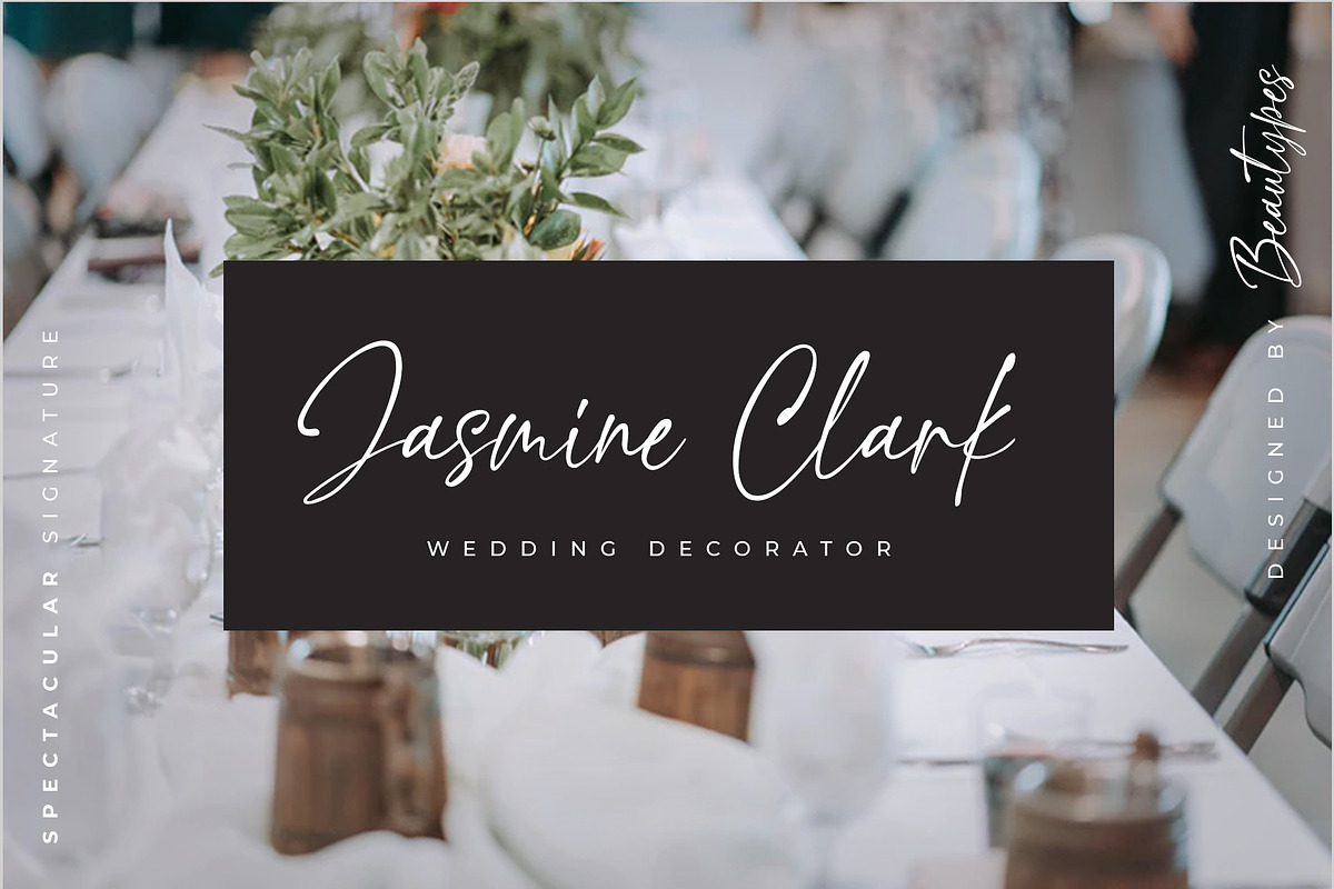 Spectacular Signature Font, a Script Font by Beautypes