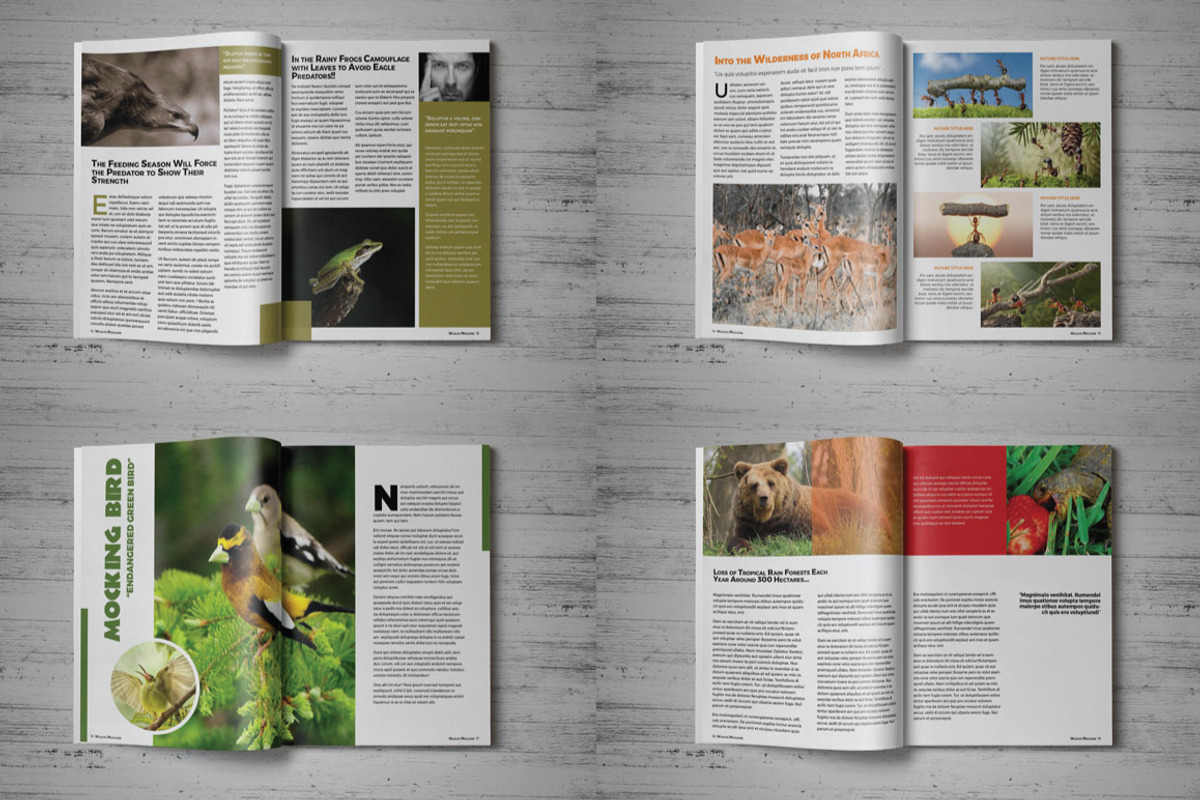Wildlife Magazine Template, a Magazine Template by voryu