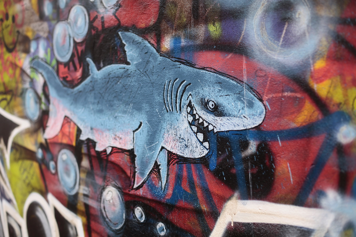 Graffiti shark on the wall, an Arts & Entertainment Photo by iconstock