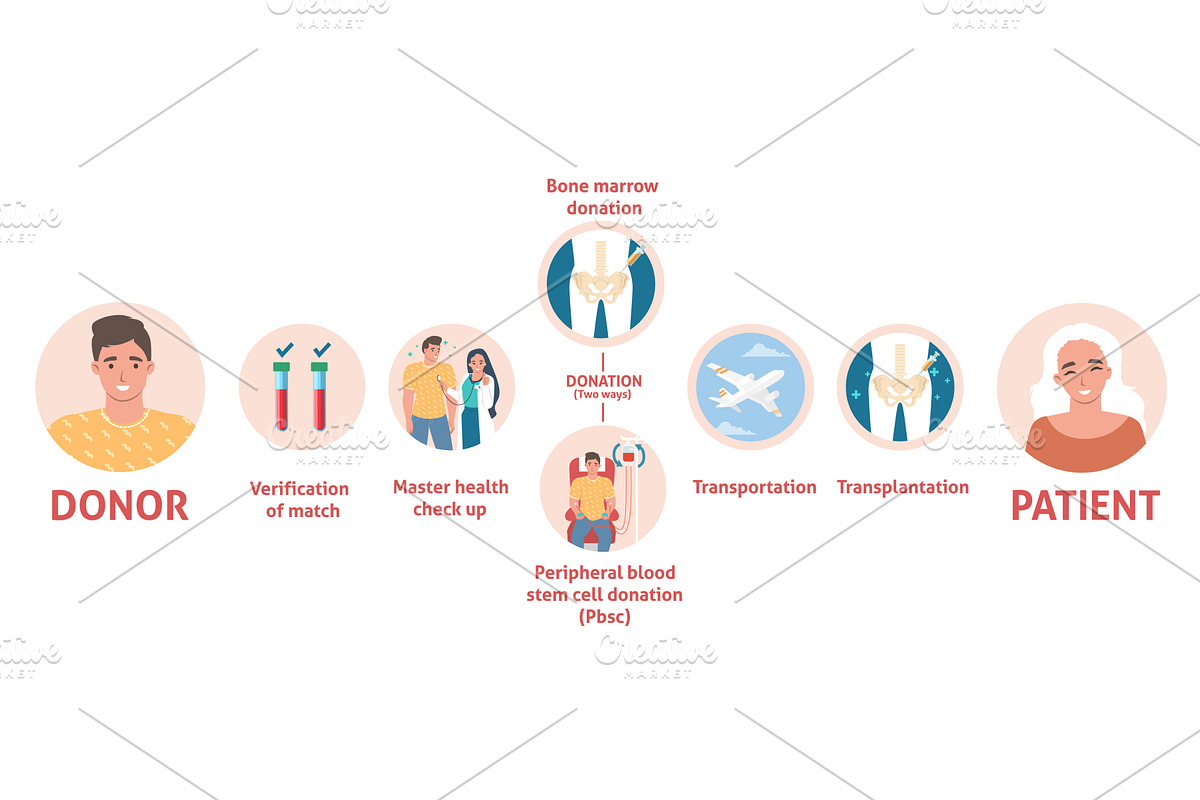 Bone marrow donation medical poster, a Healthcare Illustration by ...