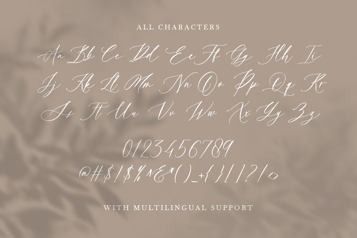 Bitter Love - Modern Calligraphy, a Script Font by Bale Type