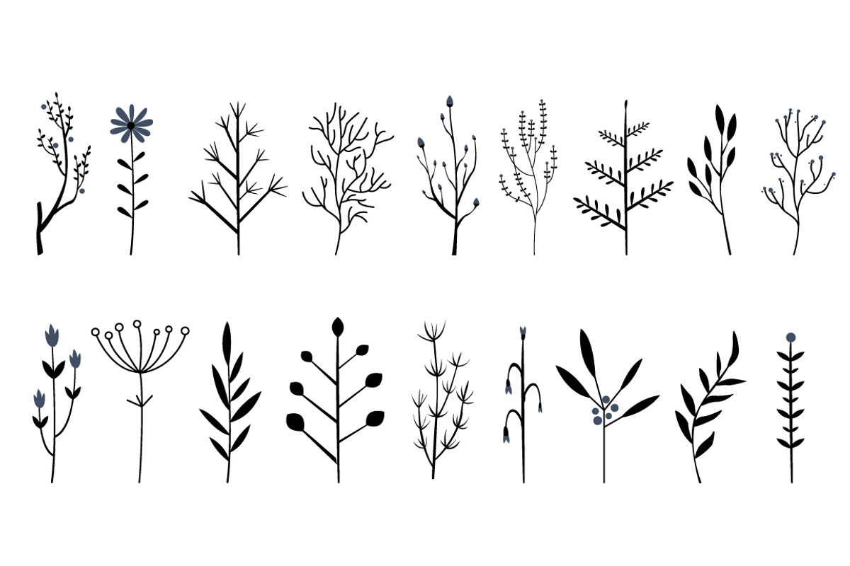 Hand drawn branches collection, a Decorative Illustration by TopVectors