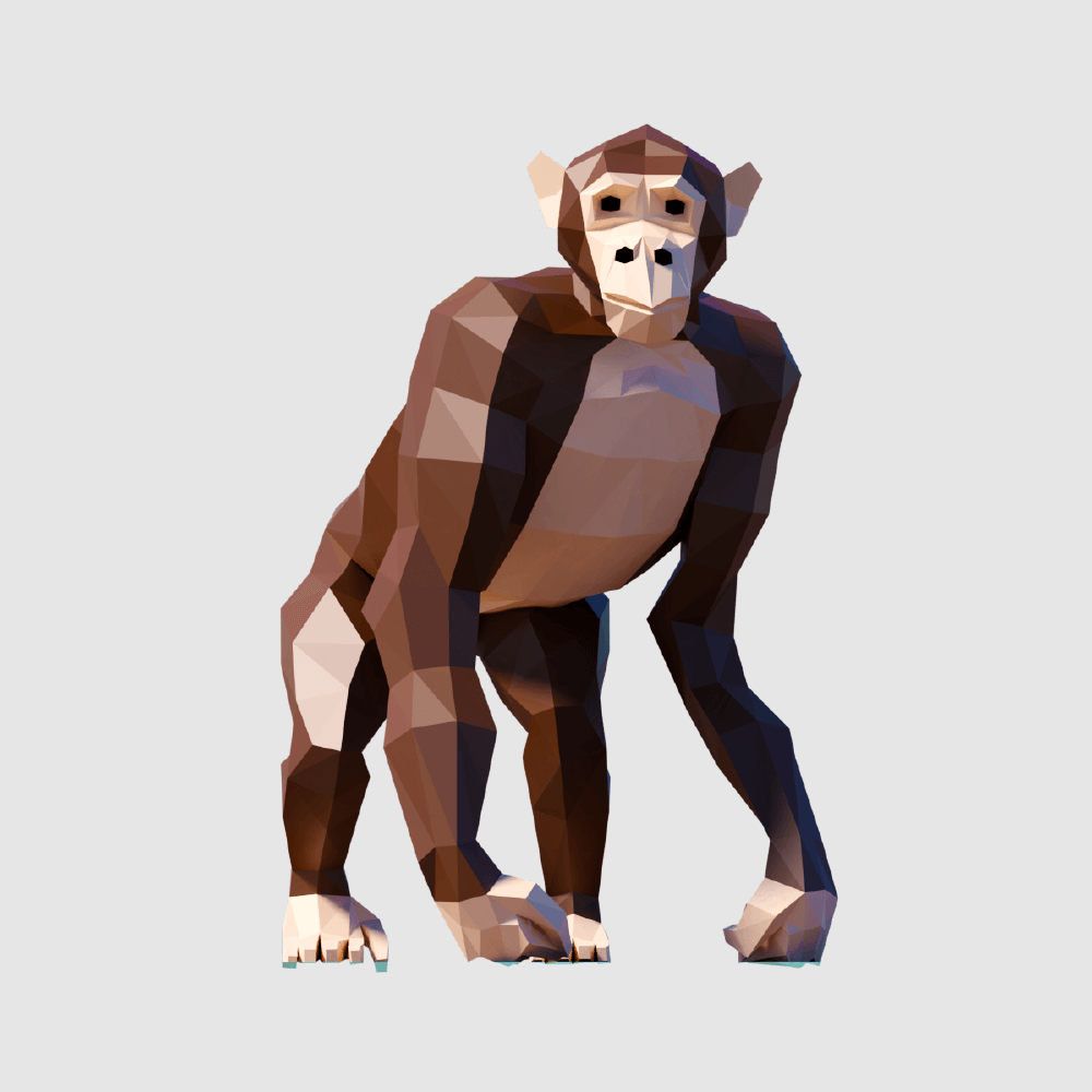 Chimpanzee, an Animal 3D Model by Studio Ochi