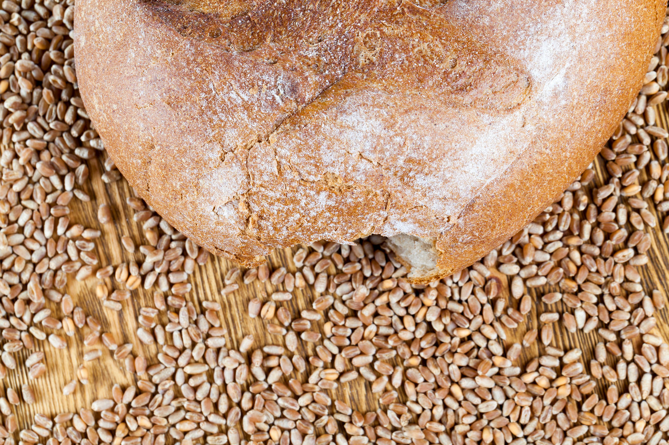 bread with bite, a Food & Drink Photo by rsooll